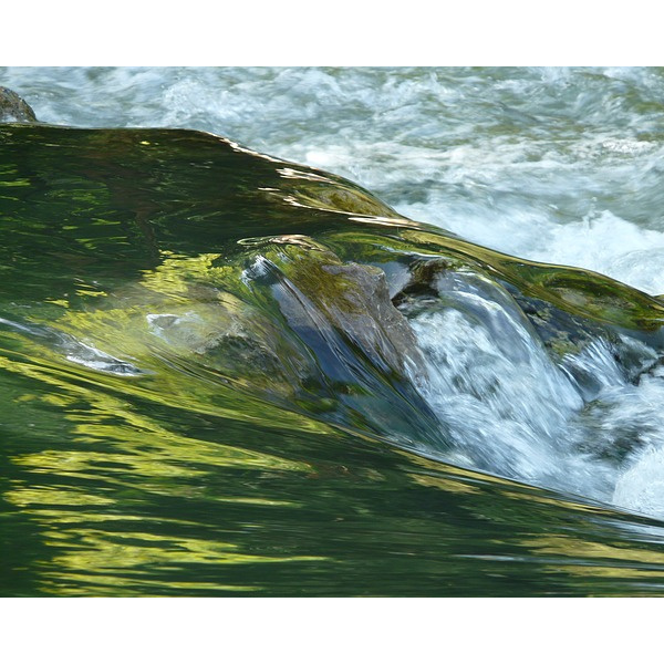 La thérapie Vittoz - Vittoz IRDC